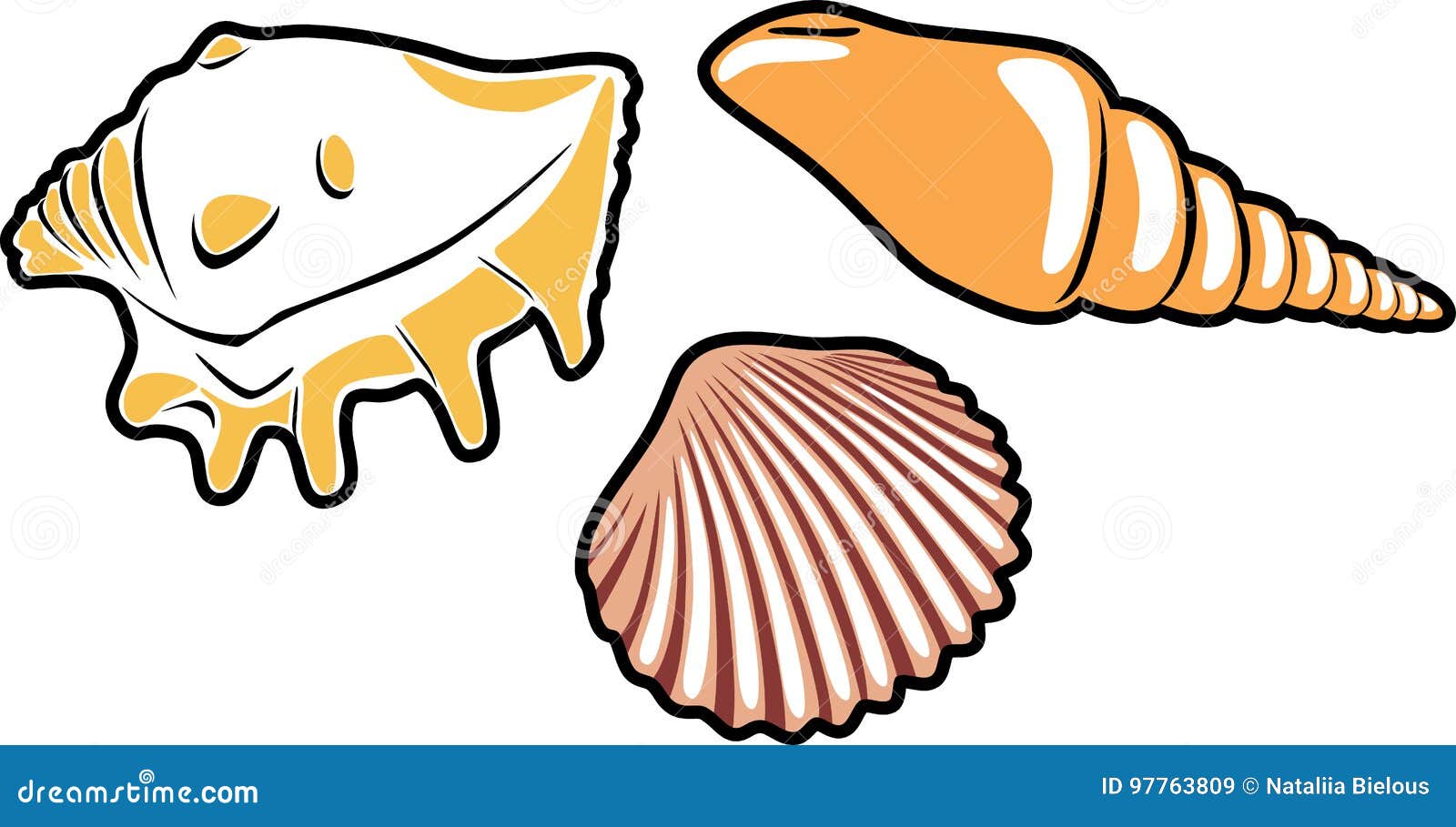 Three shells on white stock vector. Illustration of silhouette - 97763809