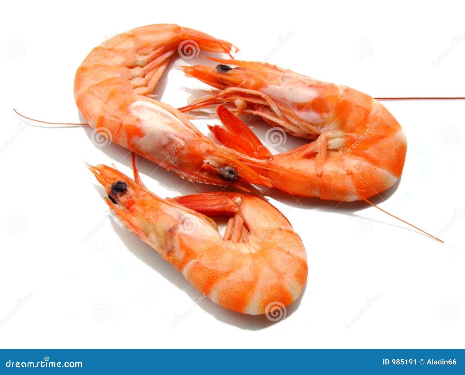 Three shrimps stock image. Image of orange, cooked, prawn - 985191