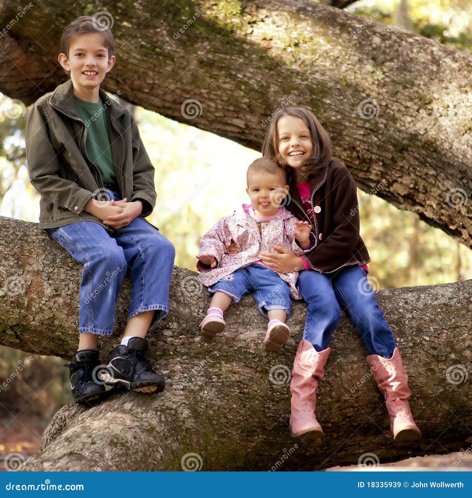 Three siblings in a tree stock image. Image of cute, forest - 18335939