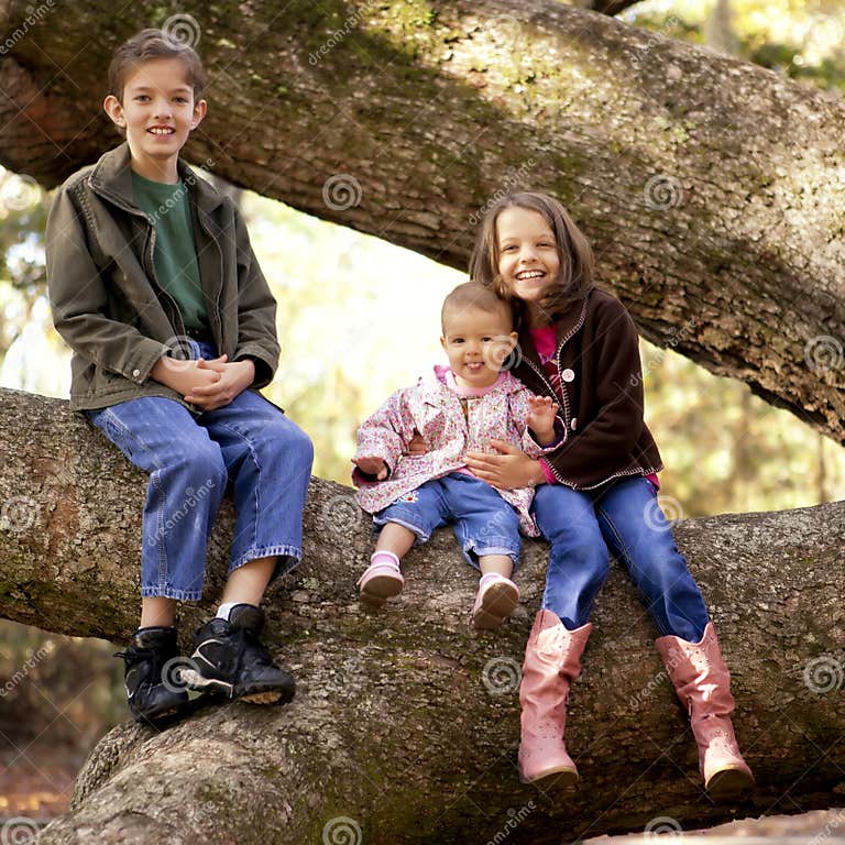 Three siblings in a tree stock image. Image of cute, forest - 18335939
