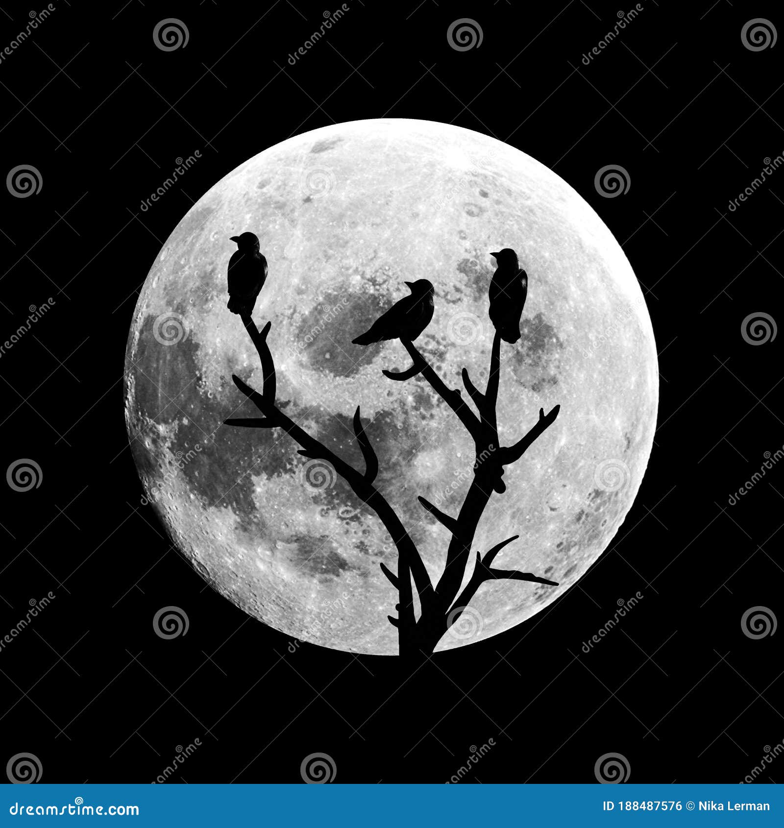 Three Silhouettes of Ravens on a Background of the Moon Stock Photo ...