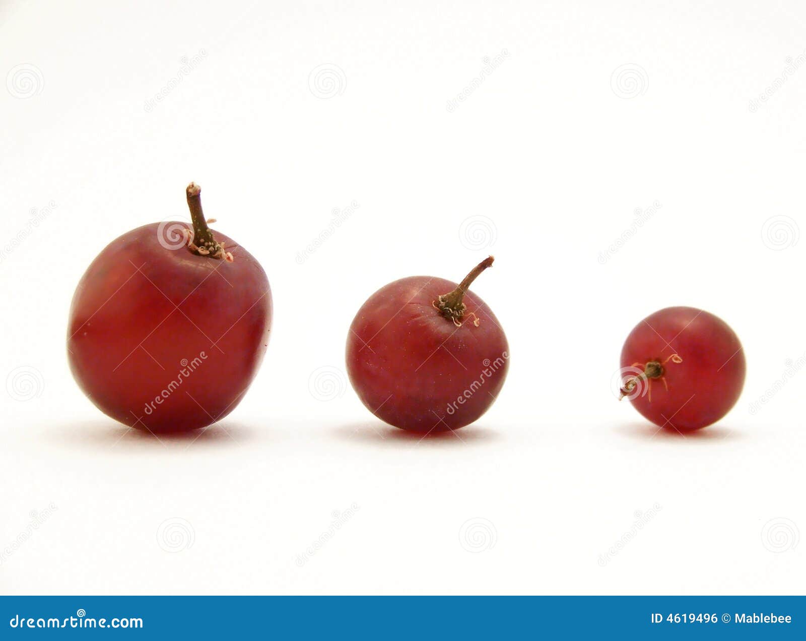 Three Sizes of Grapes on White Stock Photo - Image of healthy, group ...