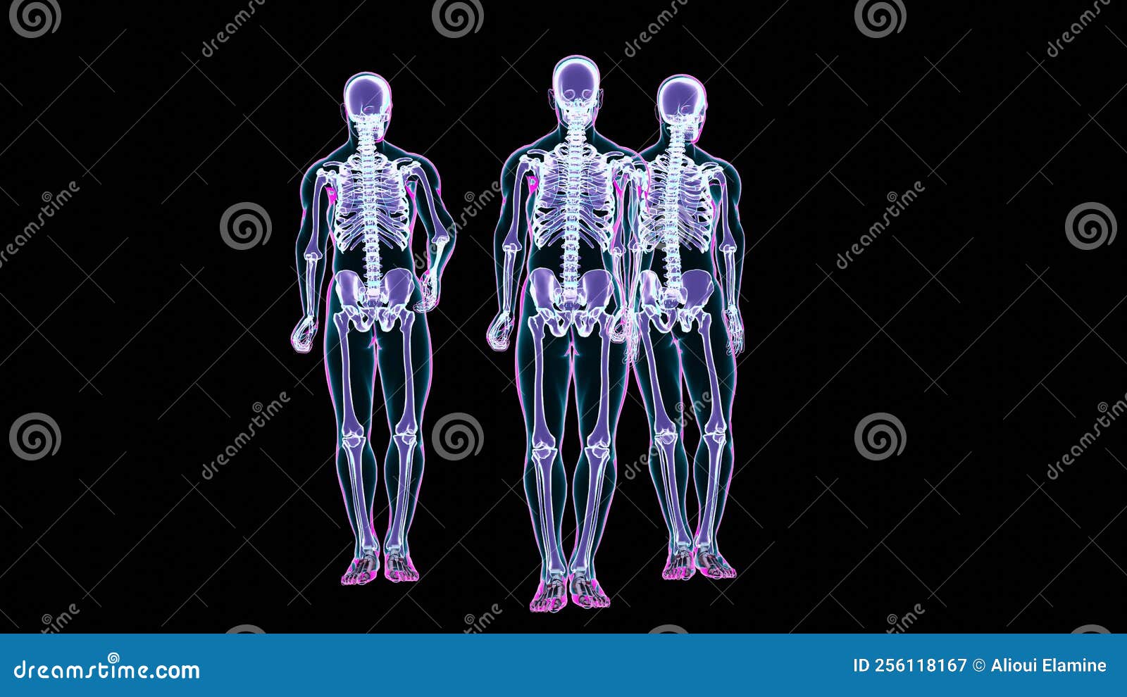 Three Skeletons Pose As Three Wise Monkey. Cartoon Vector ...