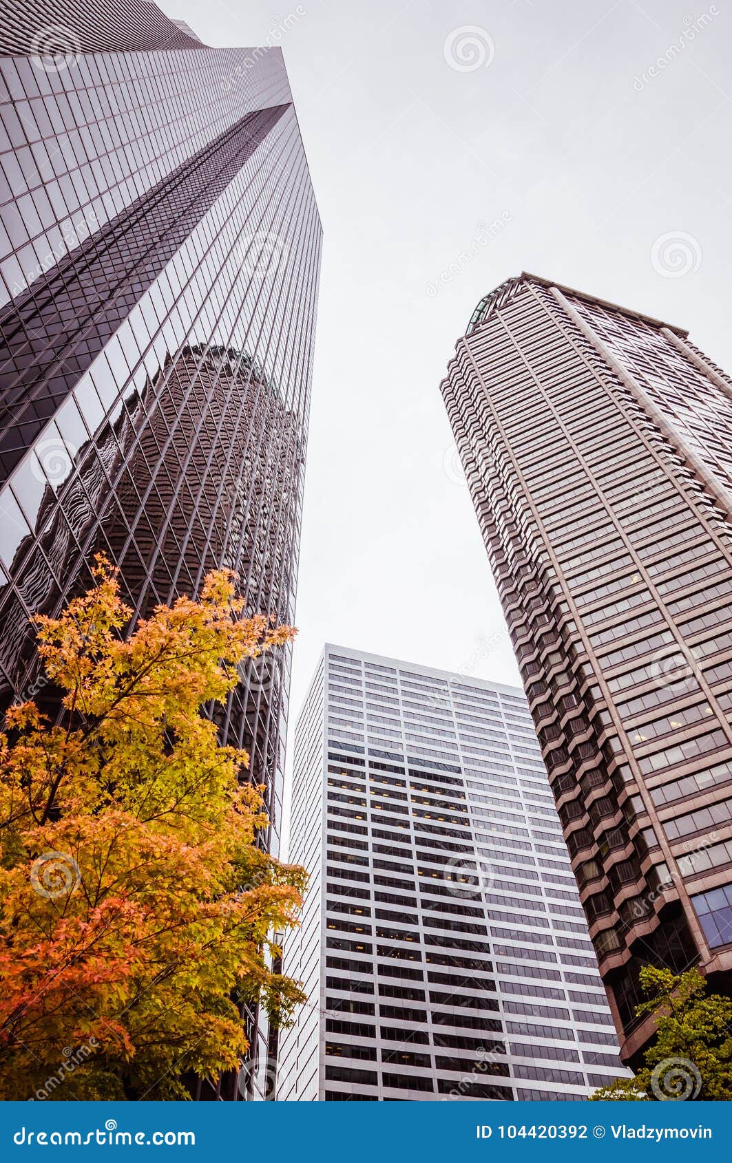 Three Skyscrapers in Seattle Stock Photo - Image of district, business ...
