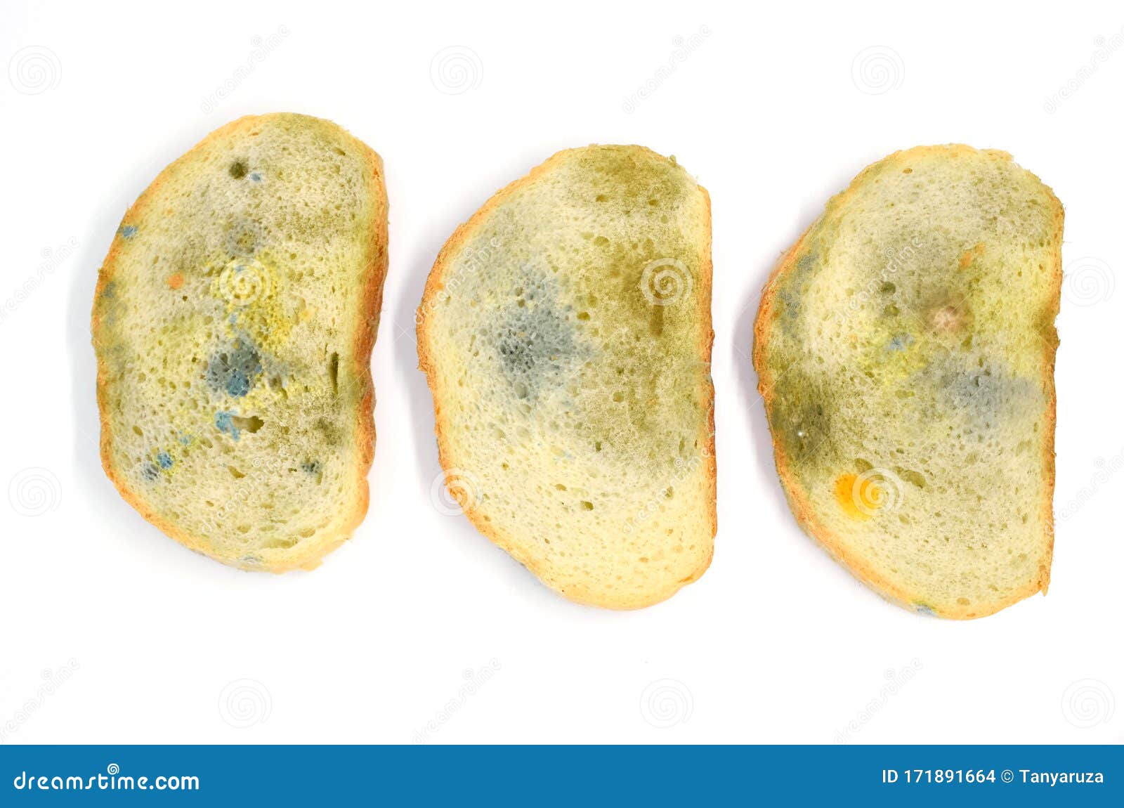Three Slices of Bread Covered with Mold Isolated on a White Background ...
