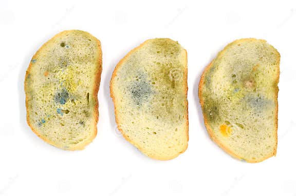 Three Slices of Bread Covered with Mold Isolated on a White Background ...