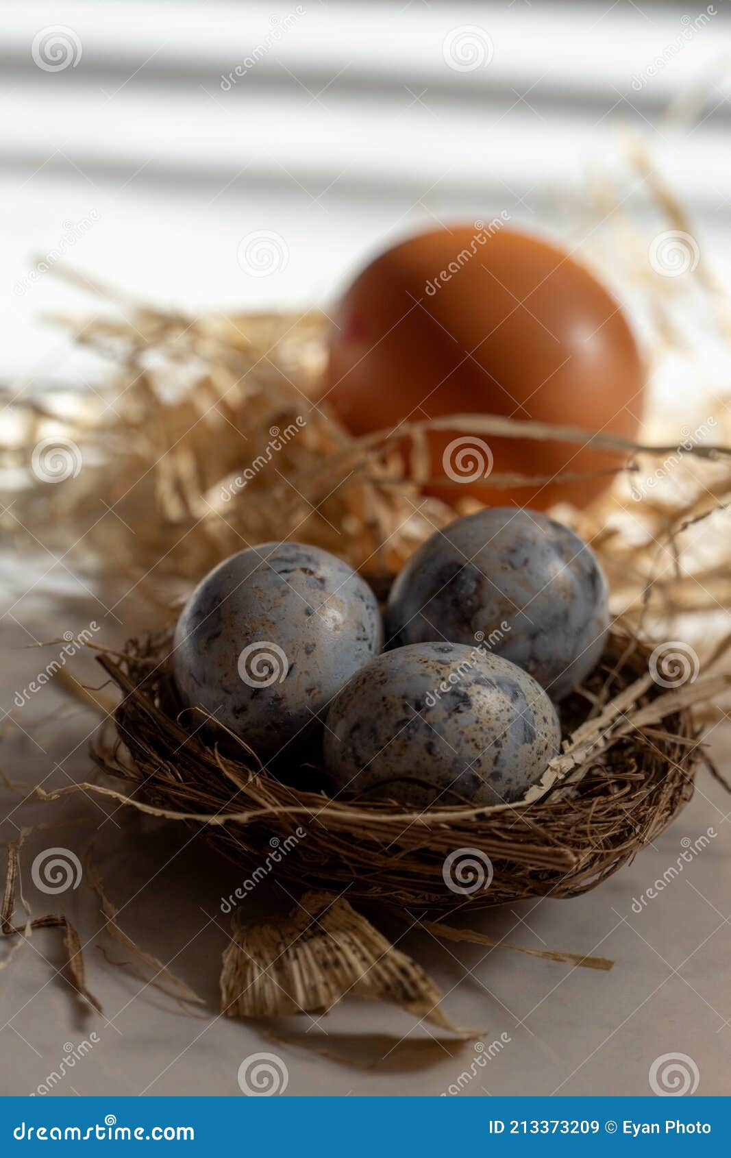Three Small Blue Eggs in the Nest with One Big Easter Egg with the Hay ...