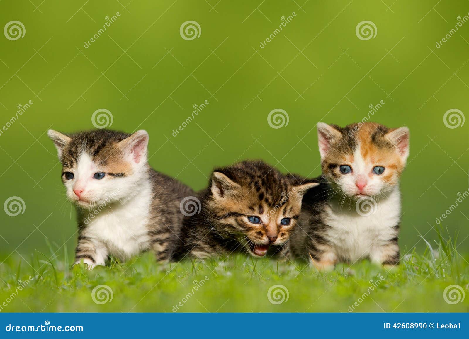 Three Small Houses With Heart Stock Photography | CartoonDealer.com ...