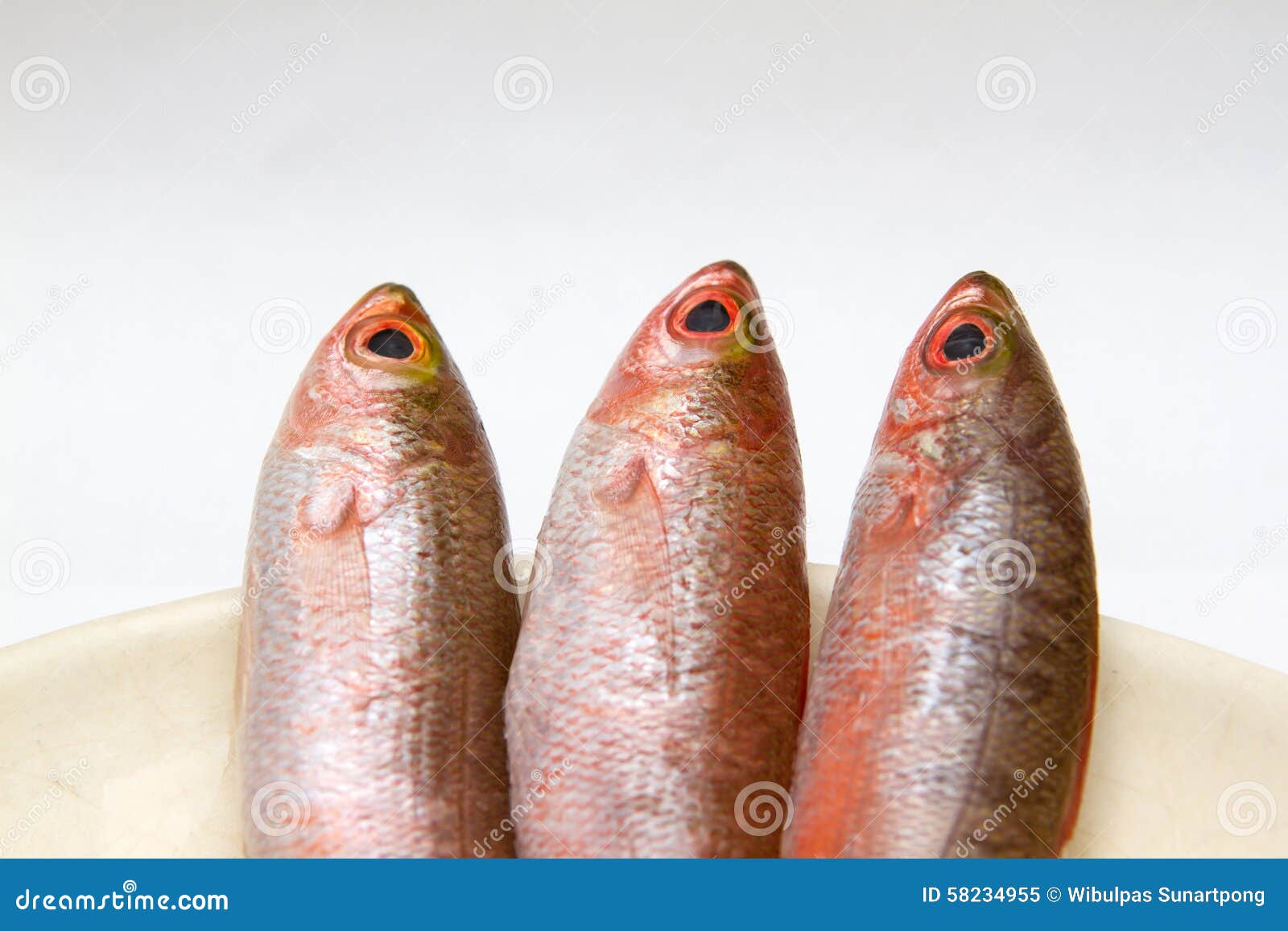 Three small fish on dish stock image. Image of together - 58234955