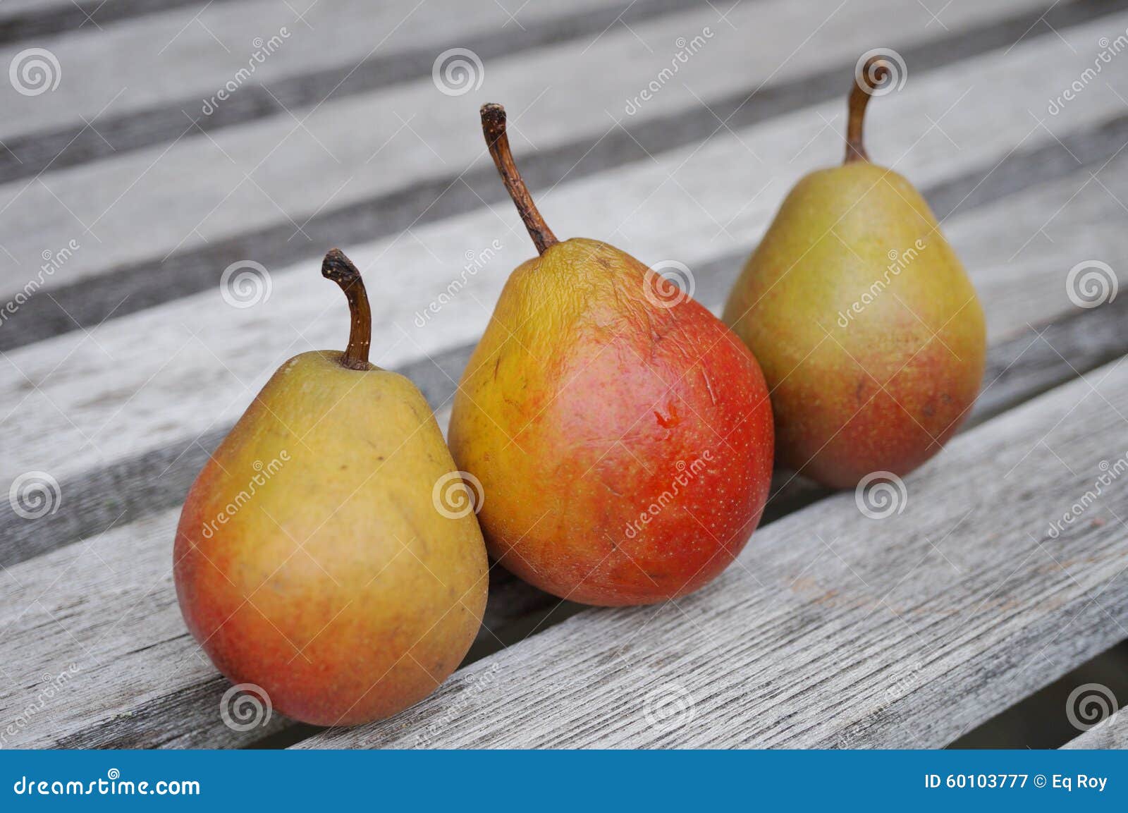 Three small pears in a row stock image. Image of food - 60103777