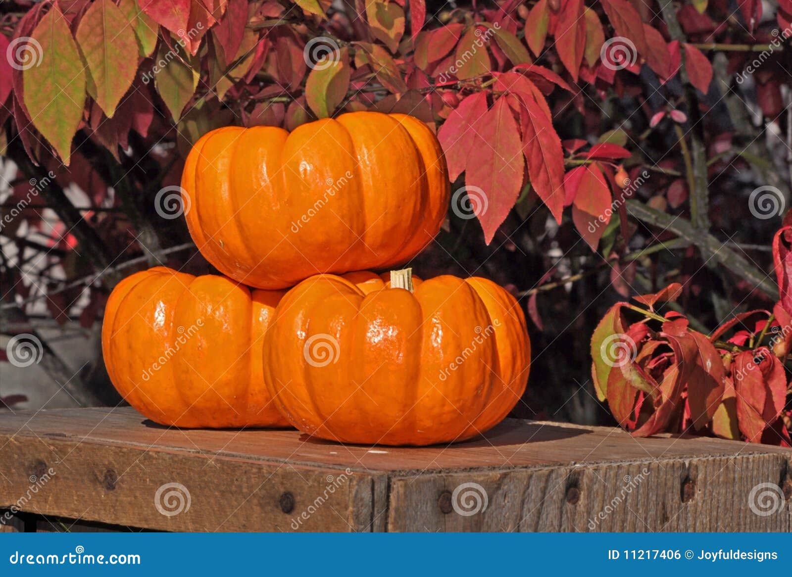 Three Small Pumpkins Stacked Stock Photo - Image of autumn, macro: 11217406