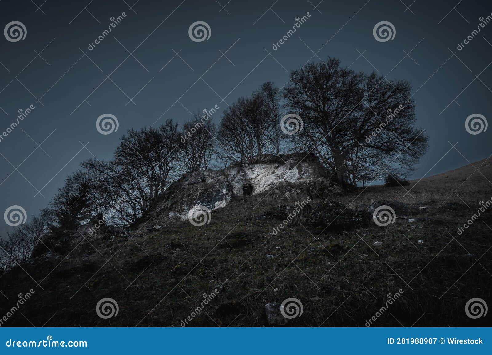 Three Small Trees on the Edge of a Hill on the Side Stock Image - Image ...