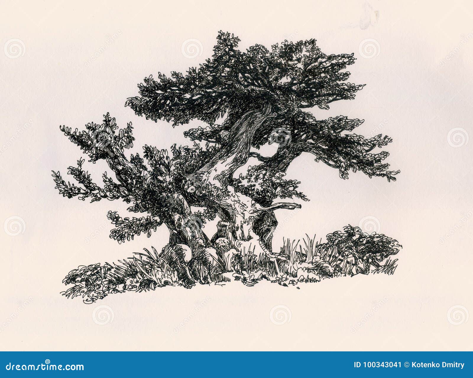 Three small trees. stock illustration. Illustration of handle - 100343041