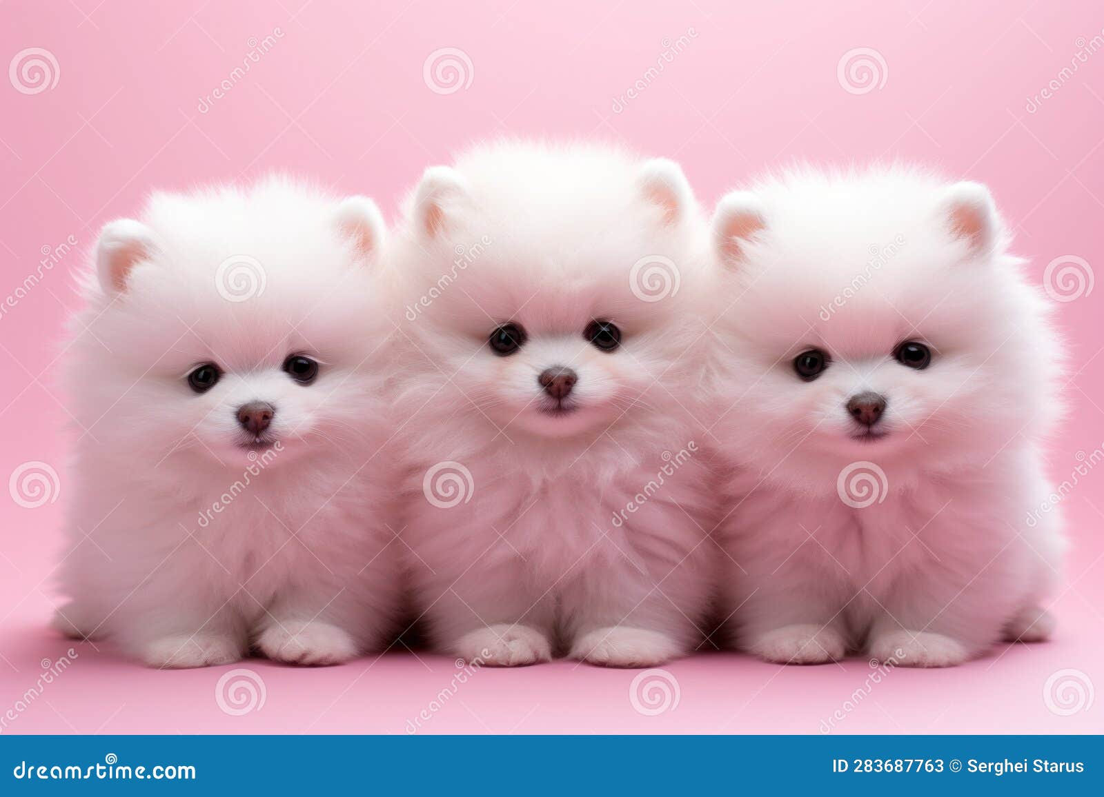 Three Small White Dogs Sitting Next To Each Other. Generative AI Image ...