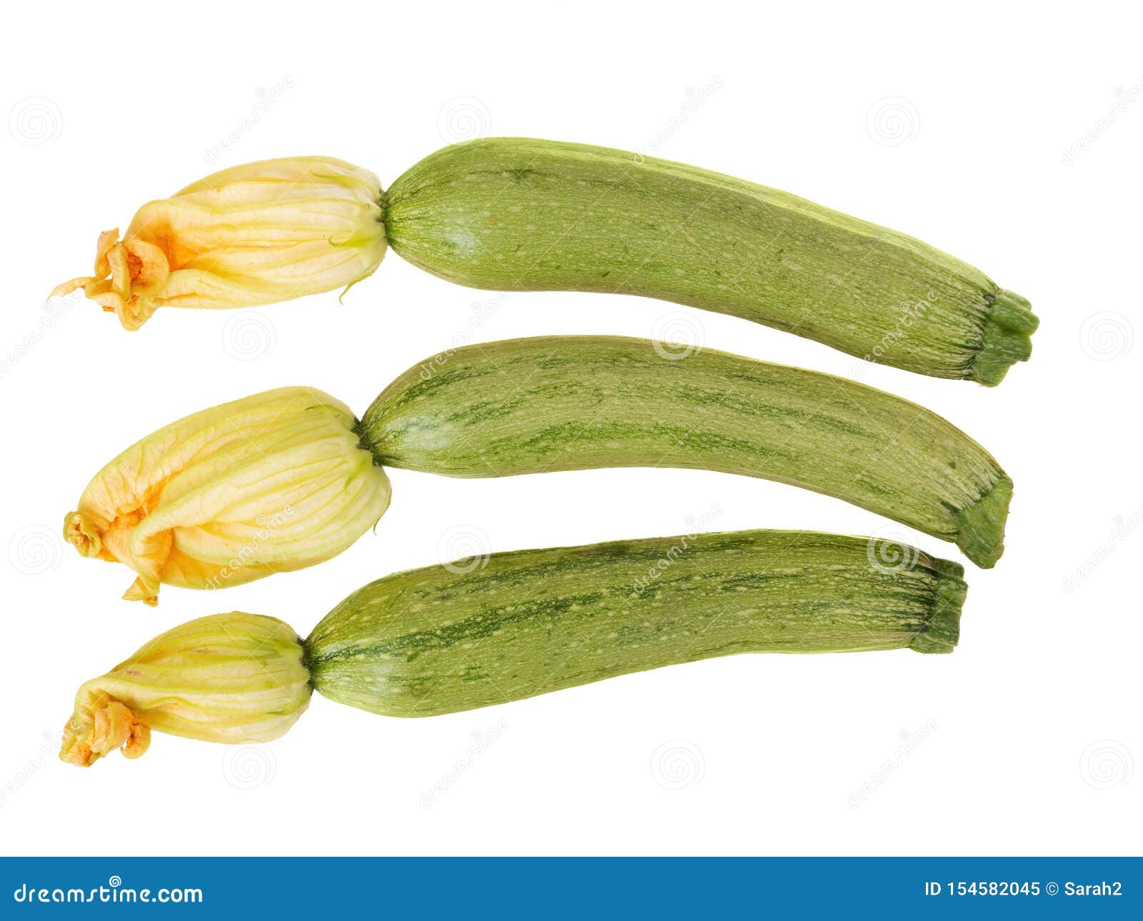 Small Zucchini With Flowers Isolated On White Background Stock Image Image Of Courgette