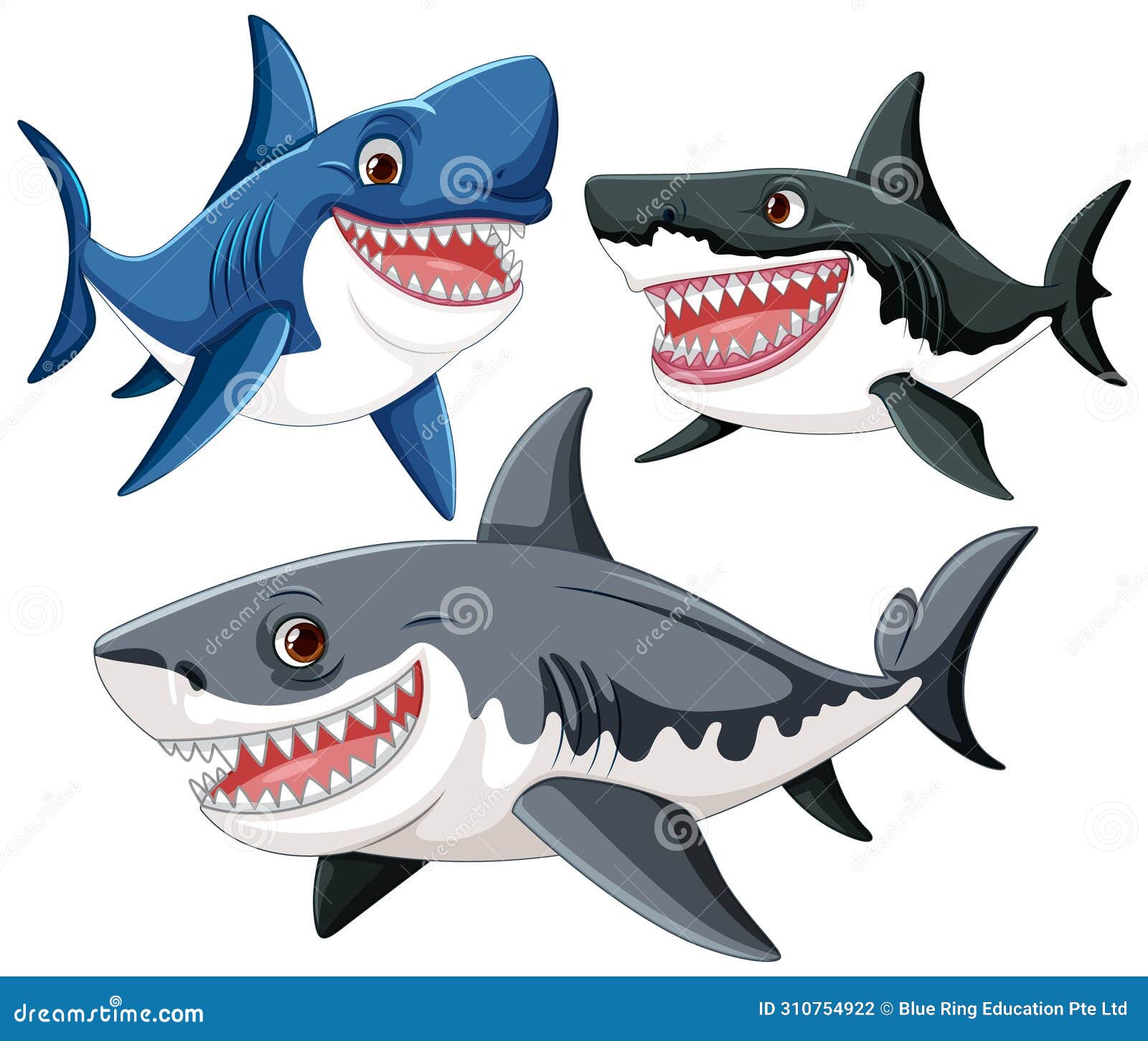 Three Sharks Vector Illustration | CartoonDealer.com #9024268