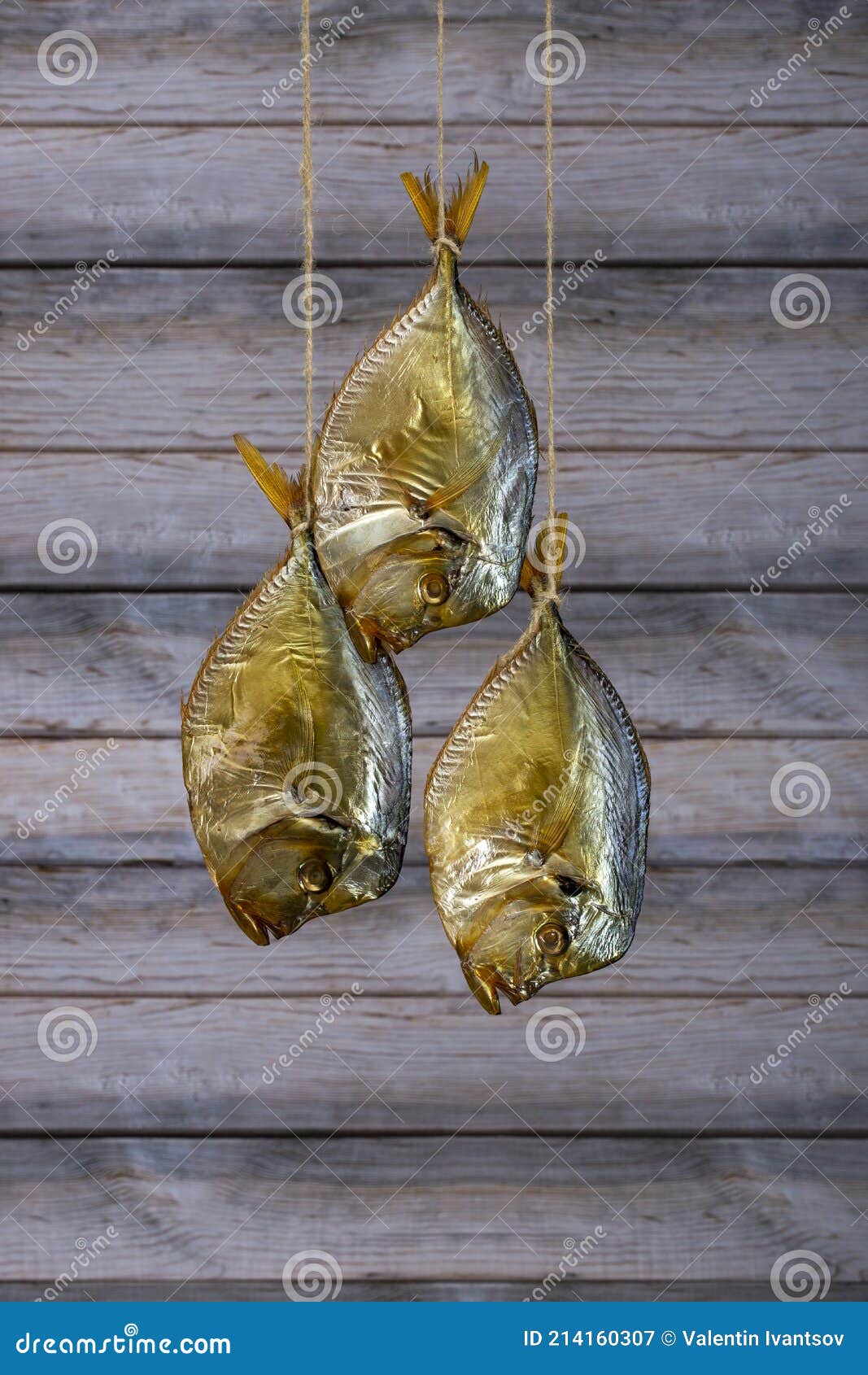 Three Smoked Sea Fish Selene Close-up on a String Stock Image - Image ...