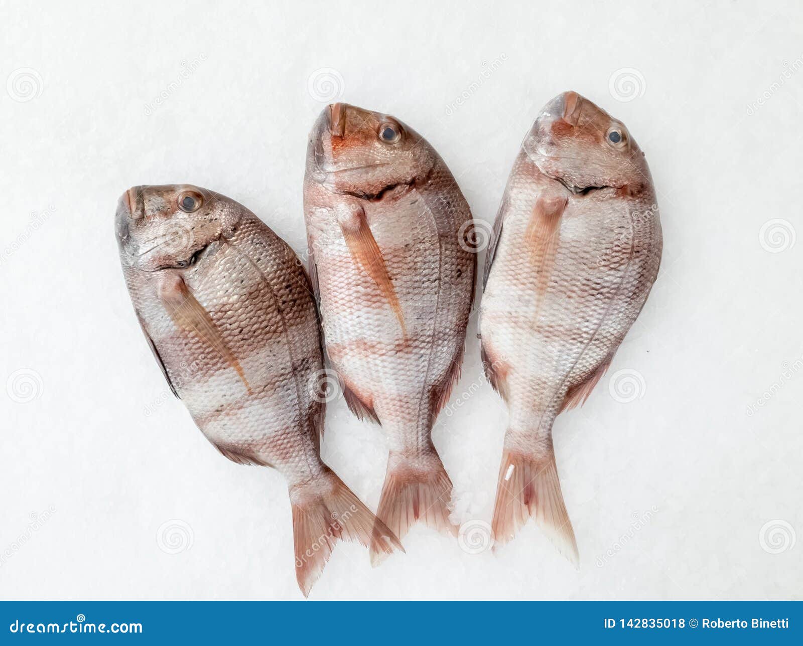 Three Snapper Sea Fish Seen from Above Stock Photo - Image of food ...