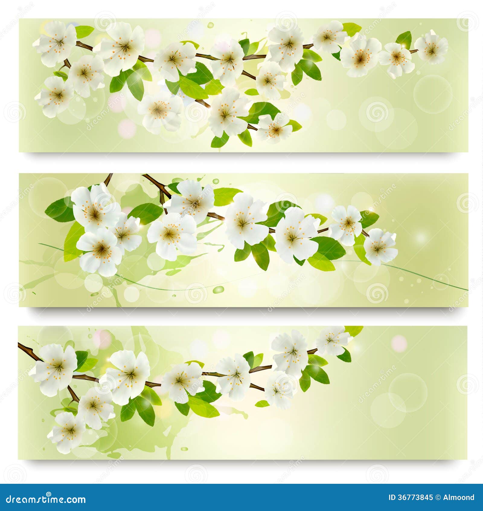 Three Spring Banners with Blossoming Tree Brunch Stock Illustration ...