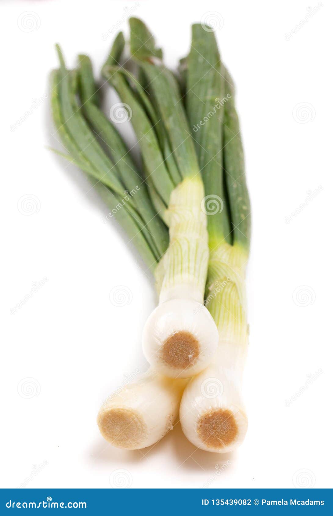 Spring Onions on a White Background Stock Photo - Image of healthy ...