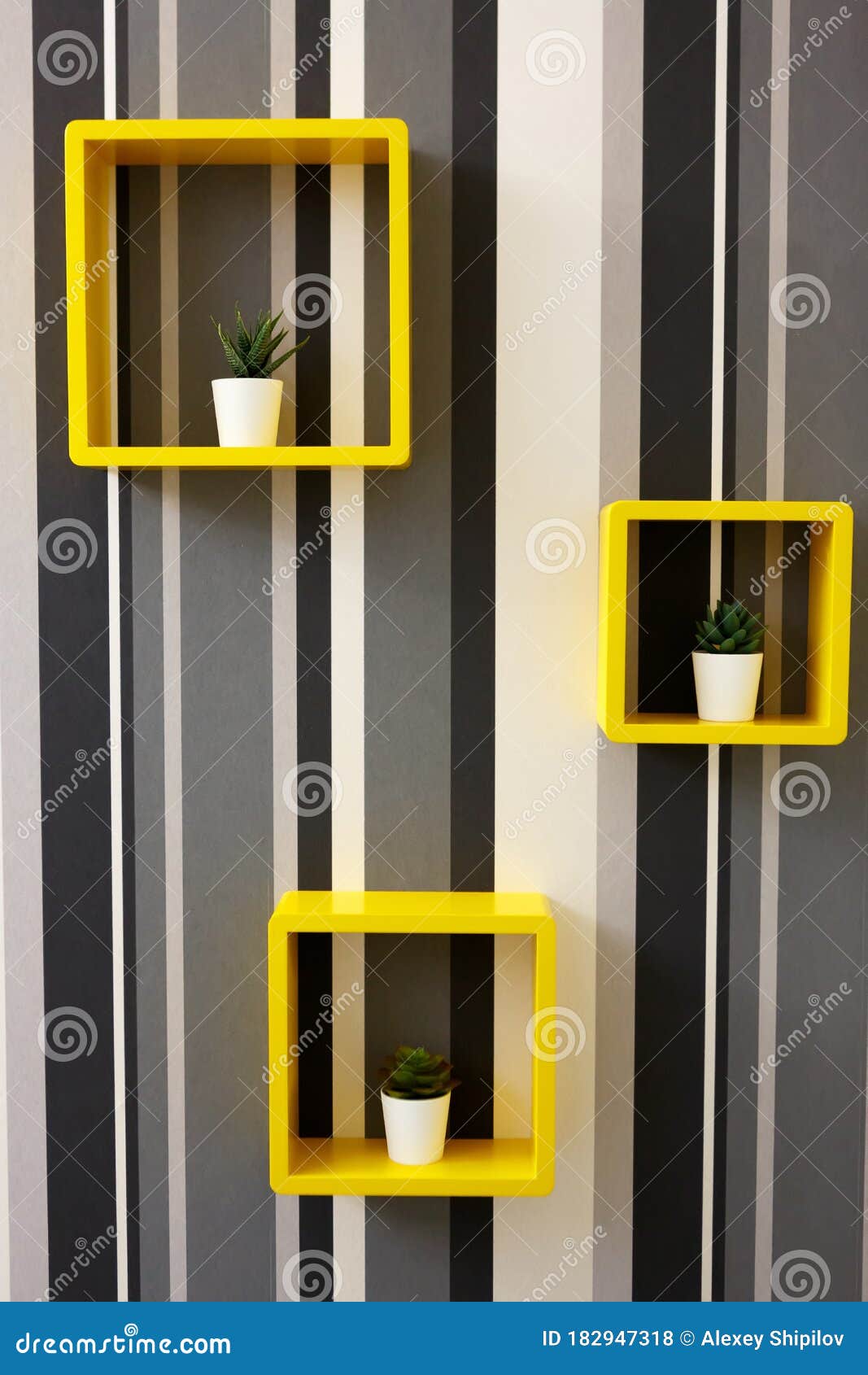 Three Square Yellow Shelves on a Striped Wall. Inside Indoor Plants ...
