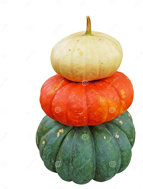 Three Stacked Pumpkins Isolated on White Stock Image - Image of plant ...