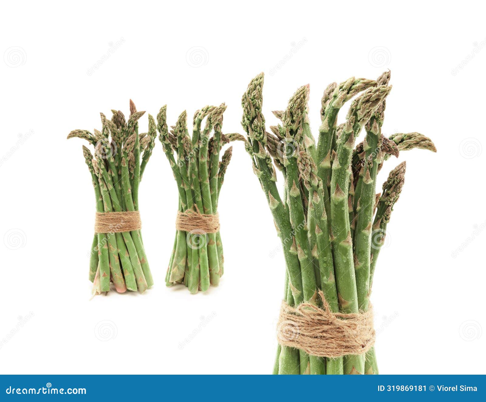 Three Standing Clusters of Raw Fresh Asparagus Tied with String Stock ...