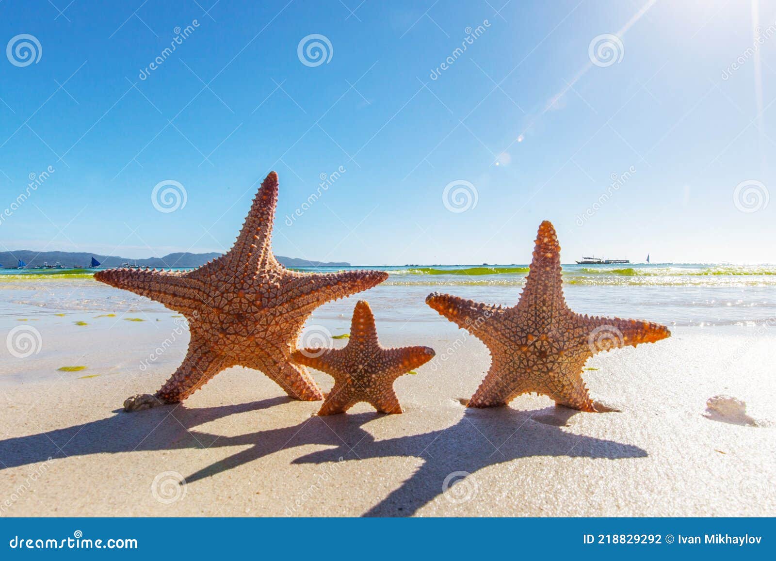 Three Starfish on Sandy Beach Stock Photo - Image of holiday, sandy ...