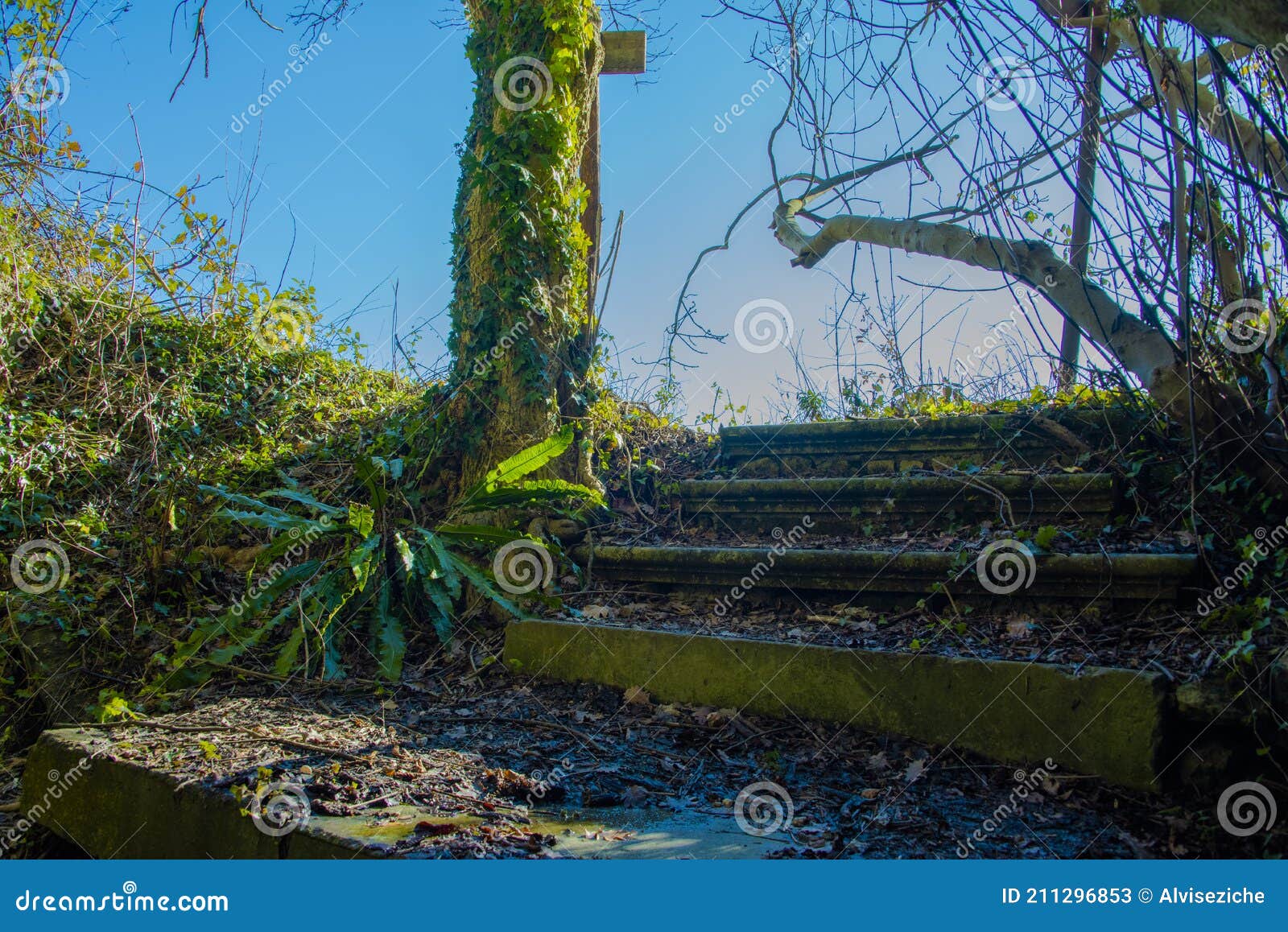 Three steps stock image. Image of natural, scenic, architecture - 211296853