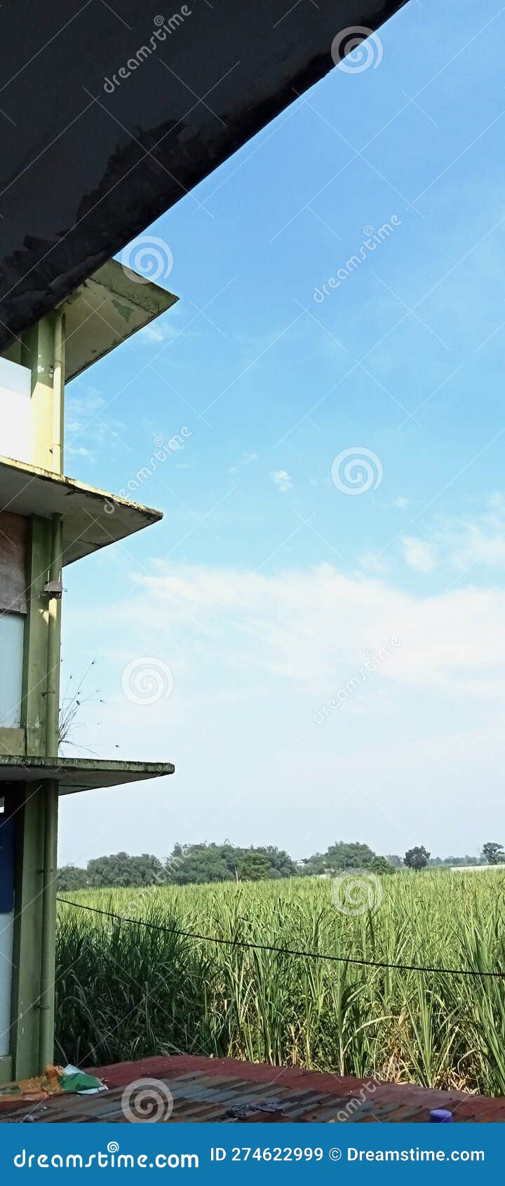 A Three-storey Building Located on the Edge of a Rice Field Stock Image ...