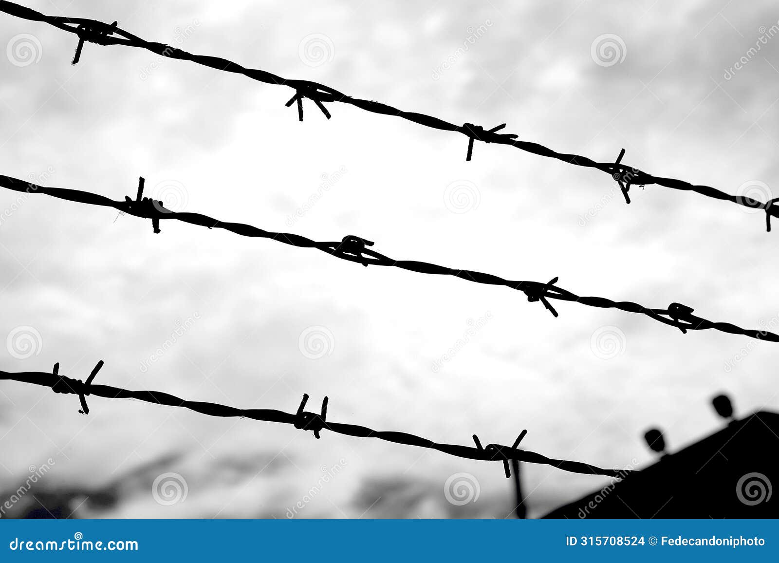 Three Strands of Barbed Wire on the Impassable Border of the Protected ...
