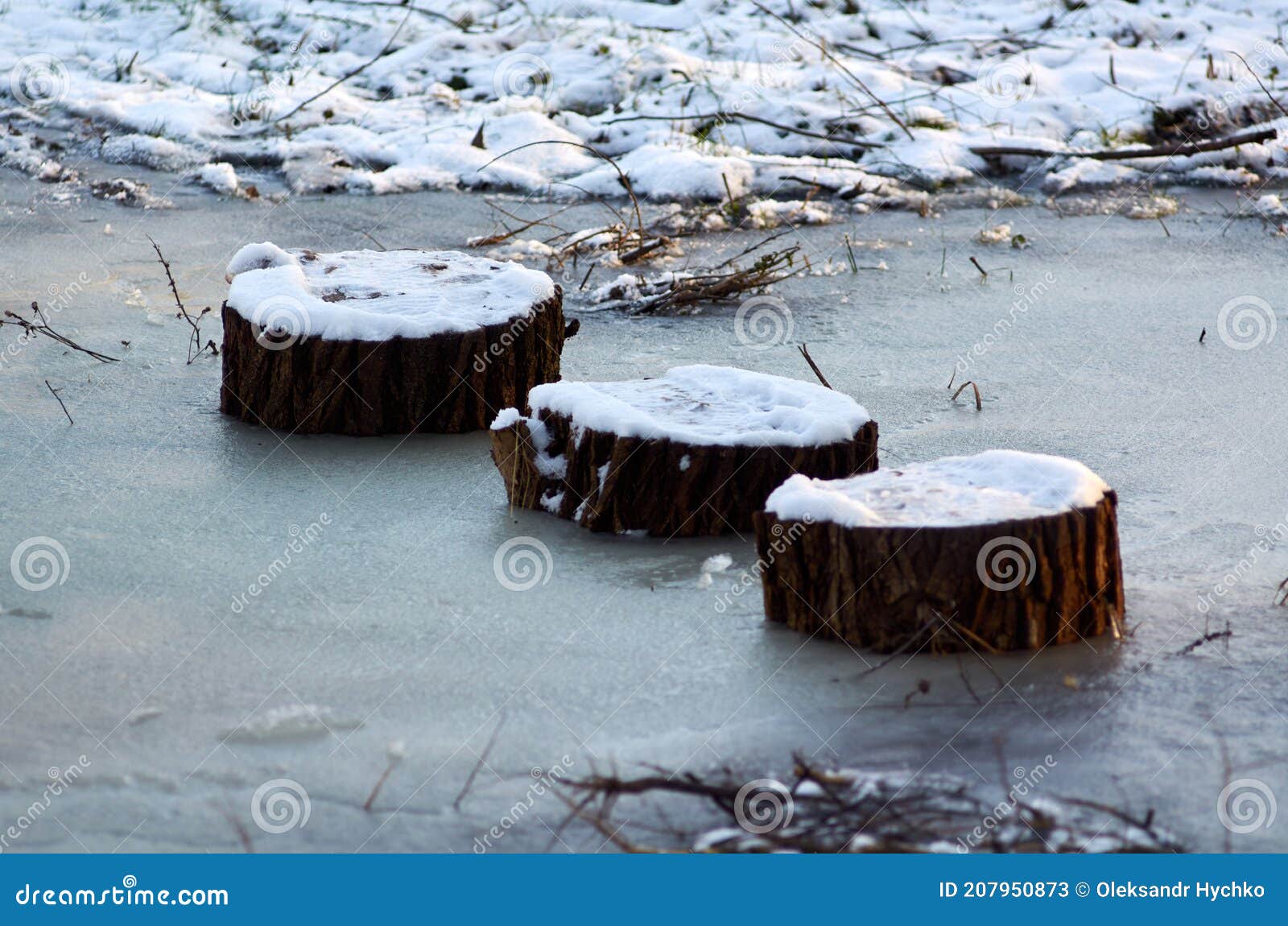 Three Stumps in a Frozen River Stock Image - Image of snag, river ...