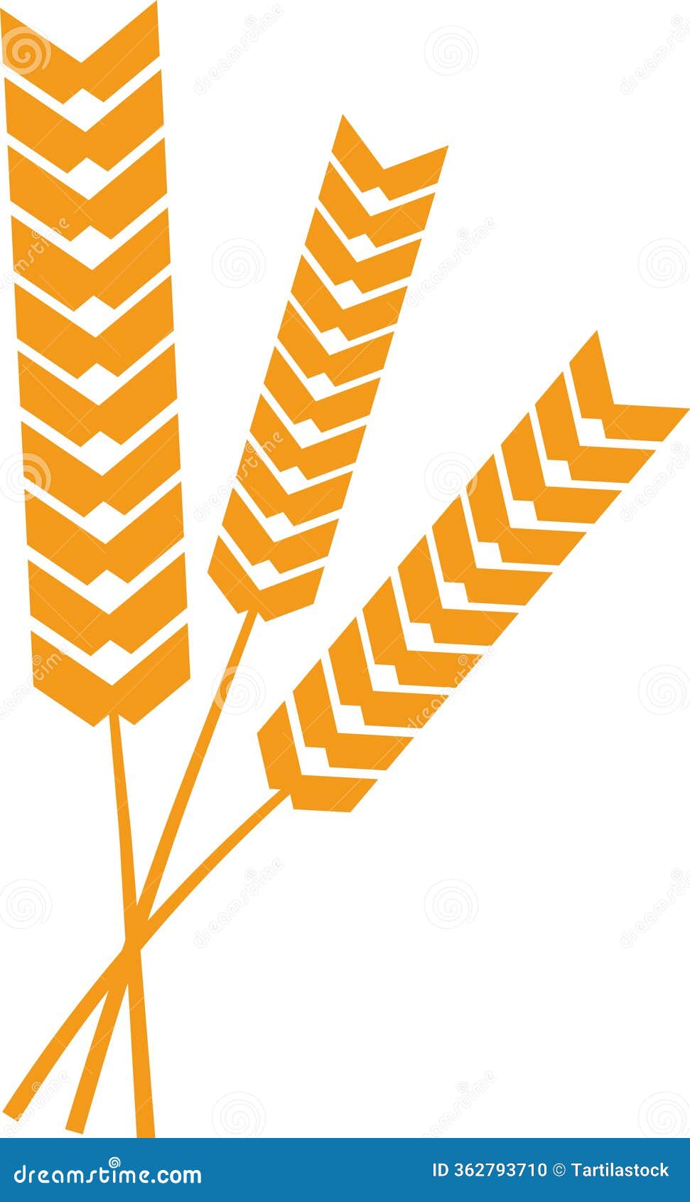 Three Stylized Wheat Stalks are Bundled Together, Creating a Simple yet ...
