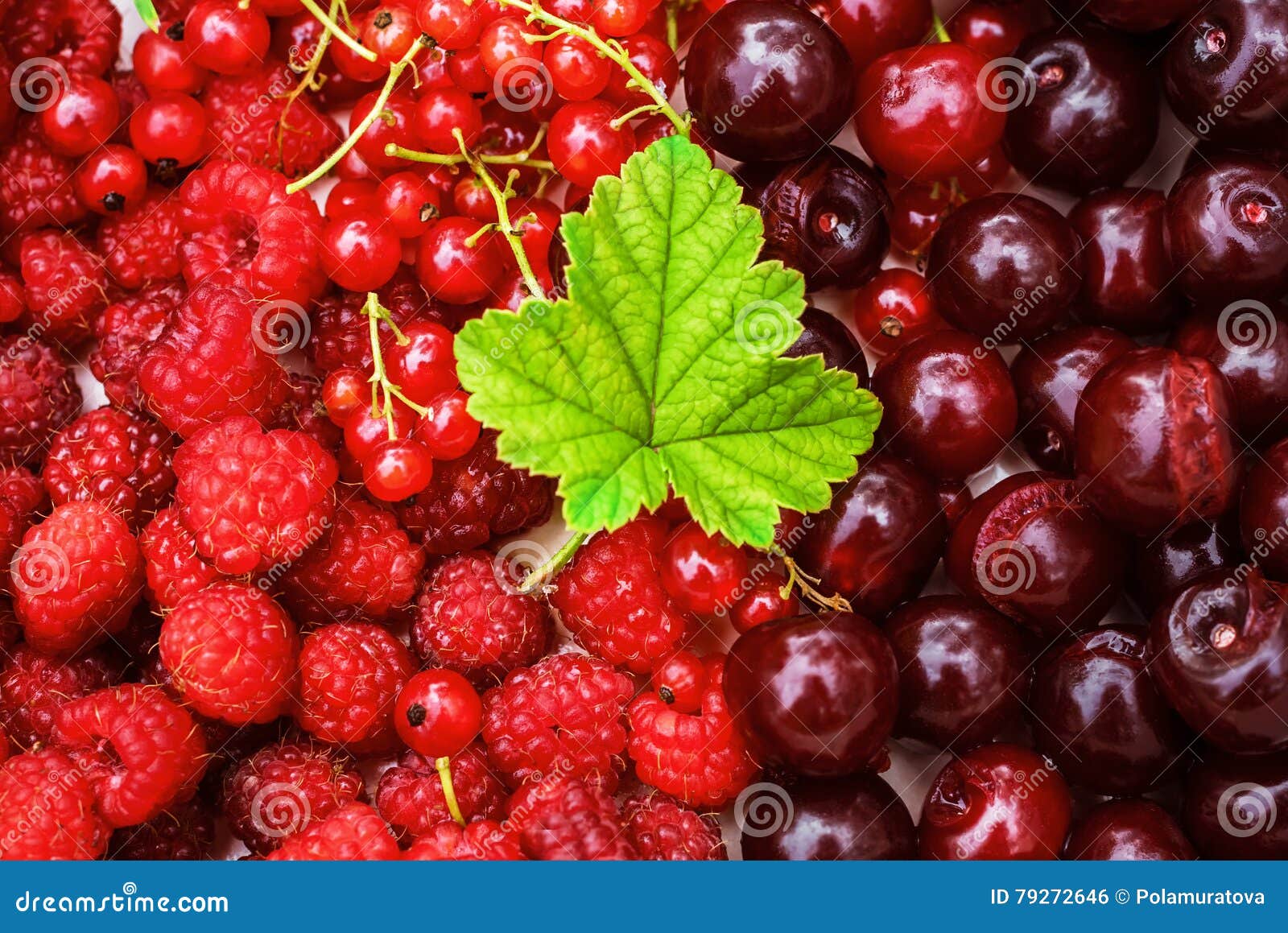 Three summer berries stock photo. Image of green, background - 79272646