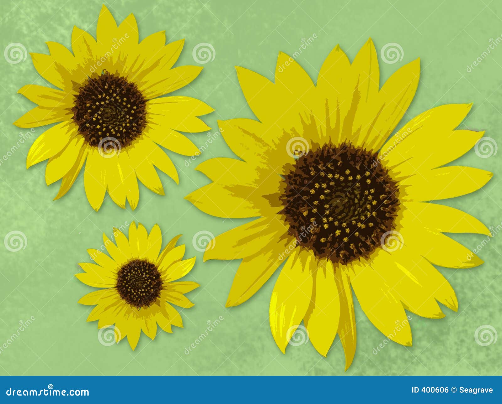 Three sunflowers stock illustration. Illustration of sunflower - 400606
