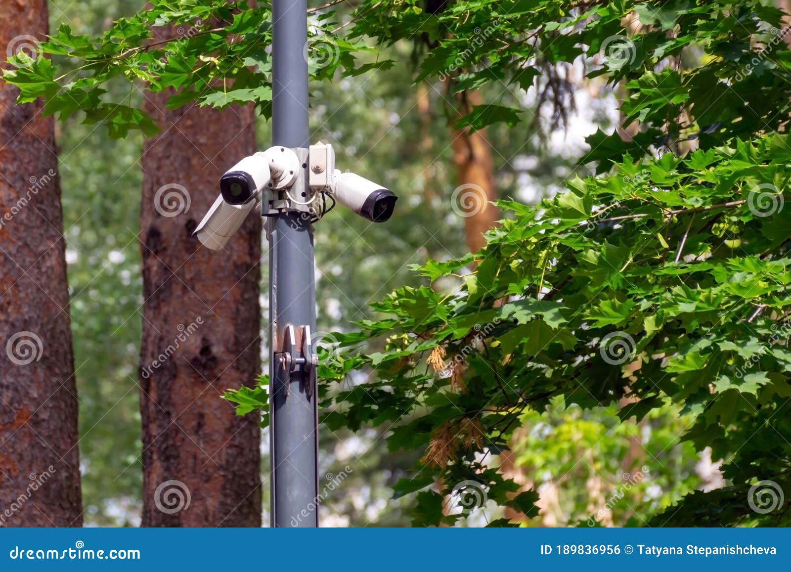 Three Surveillance Cameras are Mounted on a Metal Pole in the Forest ...