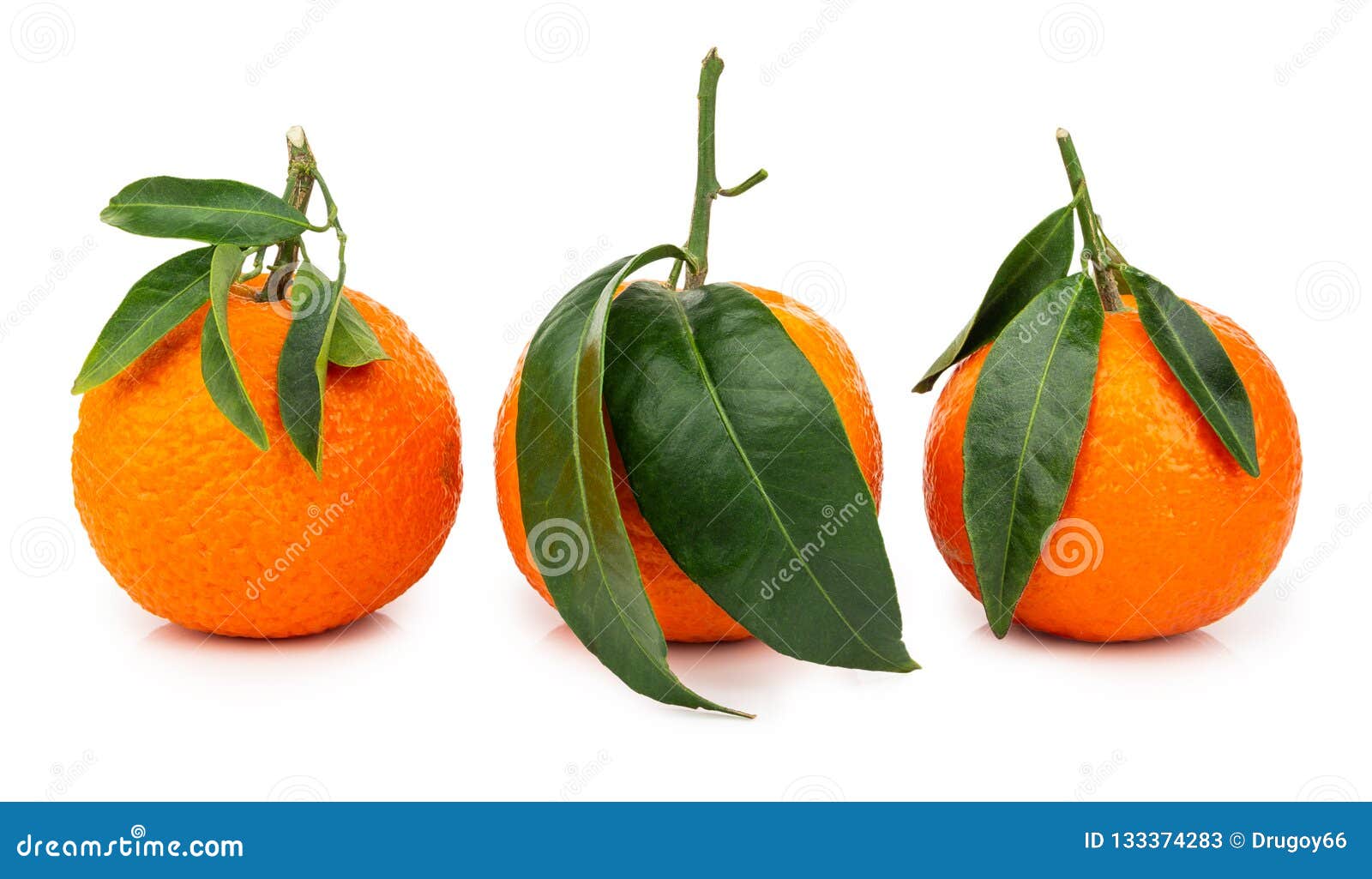 Three Tangerines with Leaves Isolated on White Stock Image - Image of ...