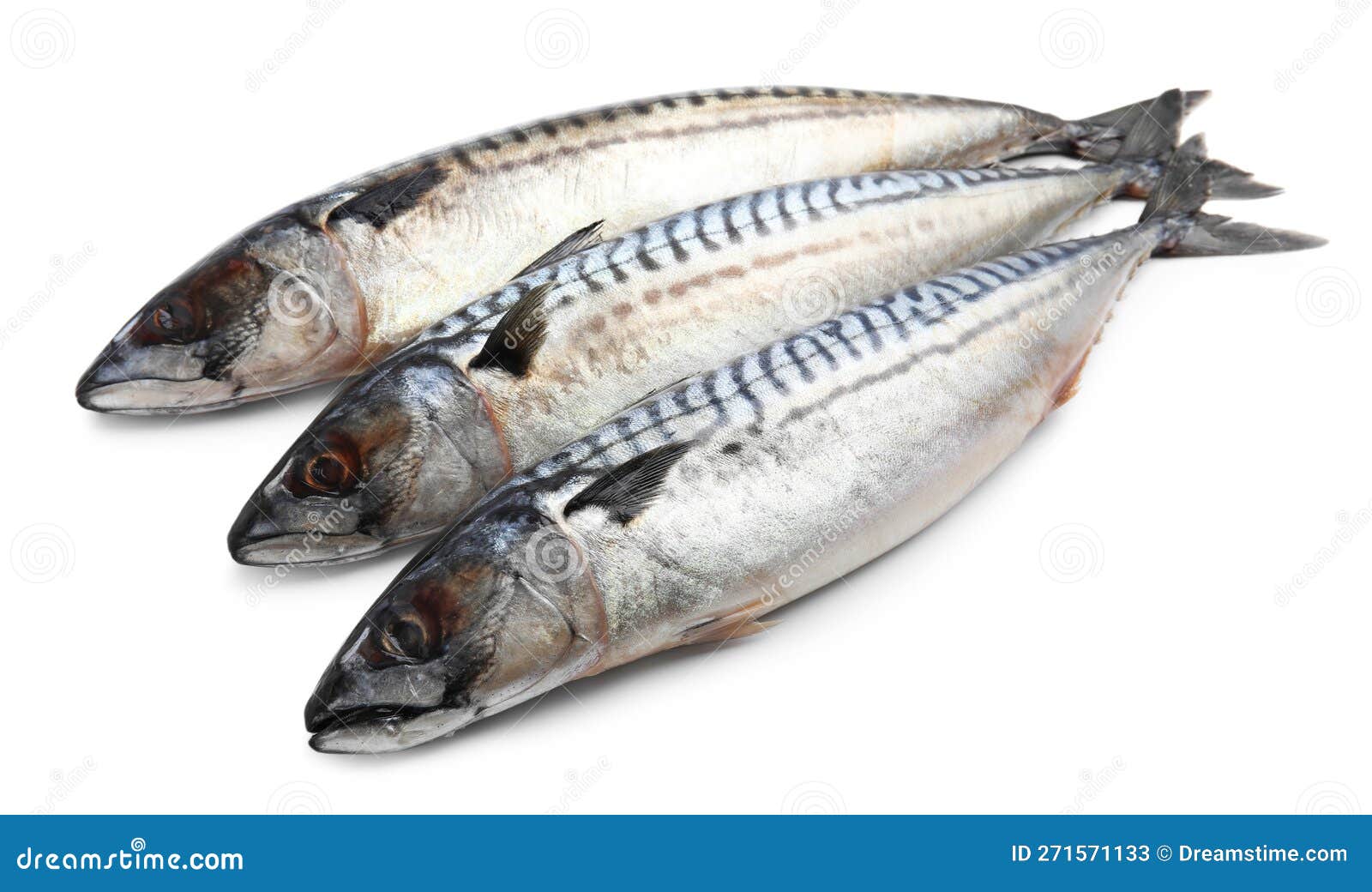 Three Tasty Raw Mackerels Isolated on White Stock Image - Image of ...