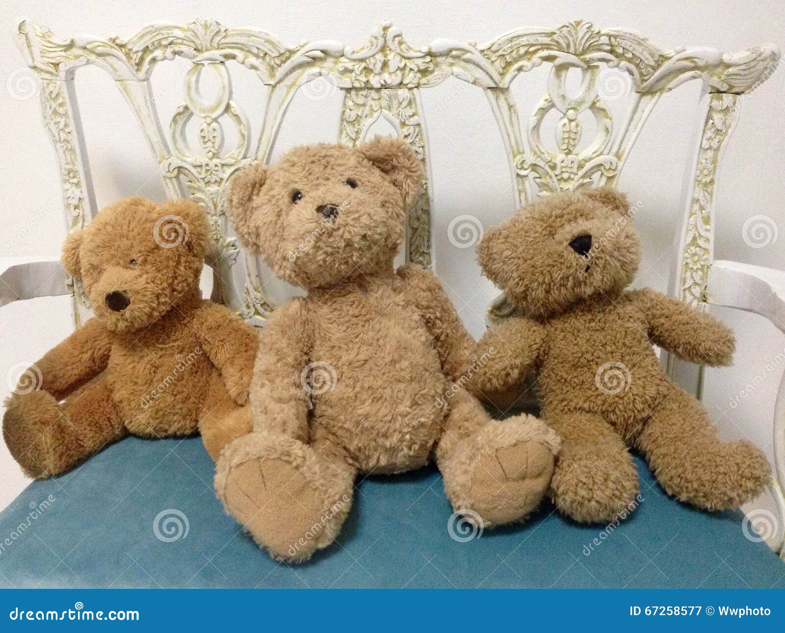 Three teddy bear editorial photography. Image of isolated - 67258577