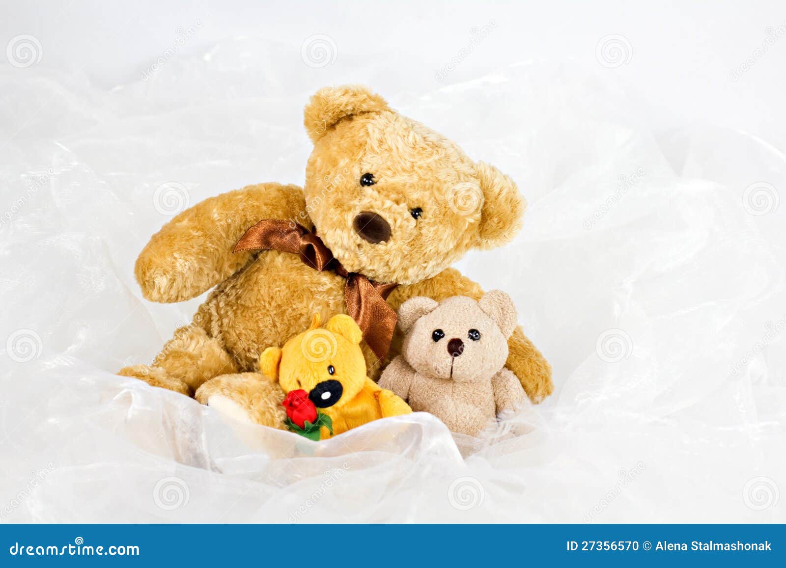 Three teddy-bears stock photo. Image of cuddly, humorous - 27356570