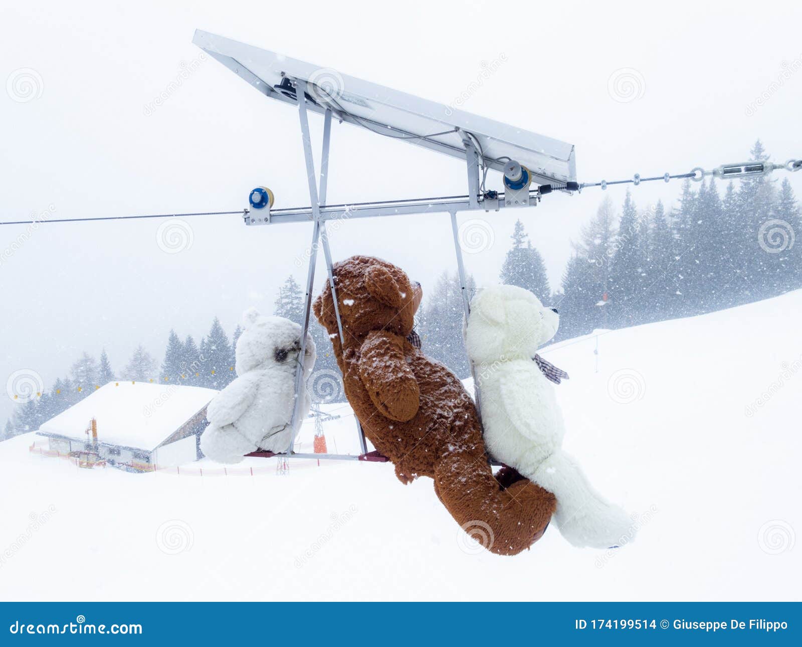 Three Teddy Bears with Cute Ties Under an Intense Snowfall in the Swiss ...