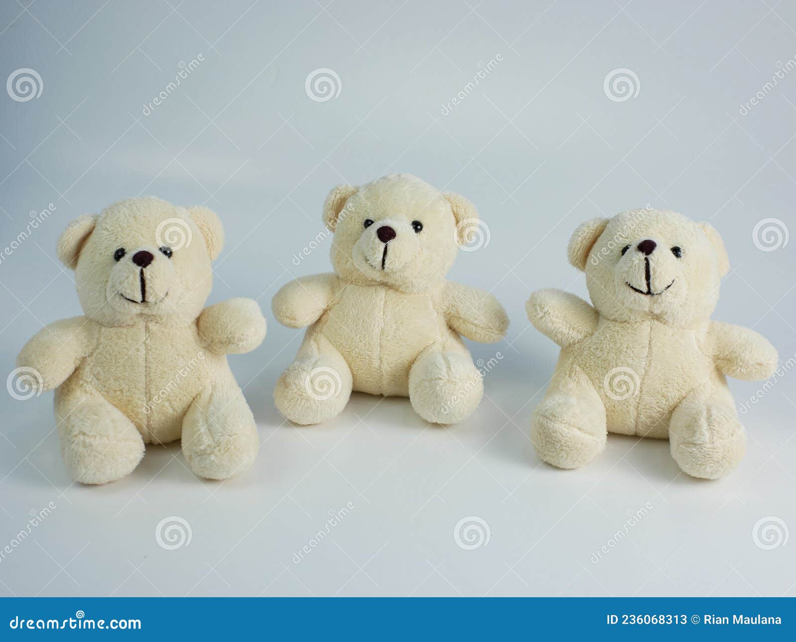 Three Teddy Bears Isolated on a White Background Stock Image - Image of ...