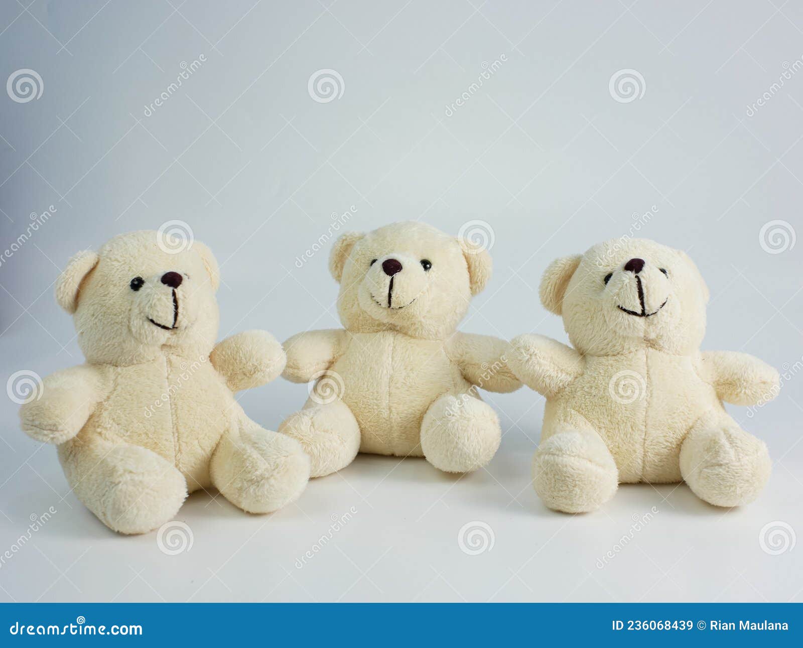 Three Teddy Bears Isolated on a White Background Stock Image - Image of ...