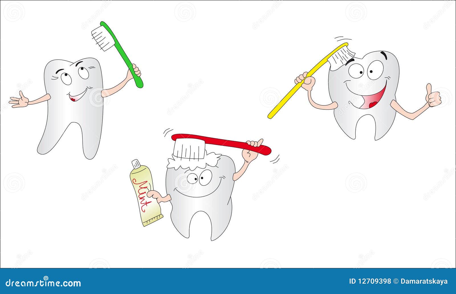 Three Teeth Vector Illustration | CartoonDealer.com #12709398