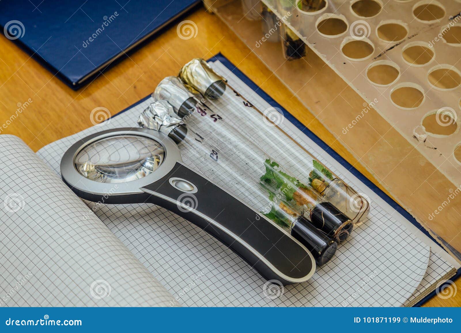 Three Test Tubes With In Vitro Microplants Stock Image - Image of ...