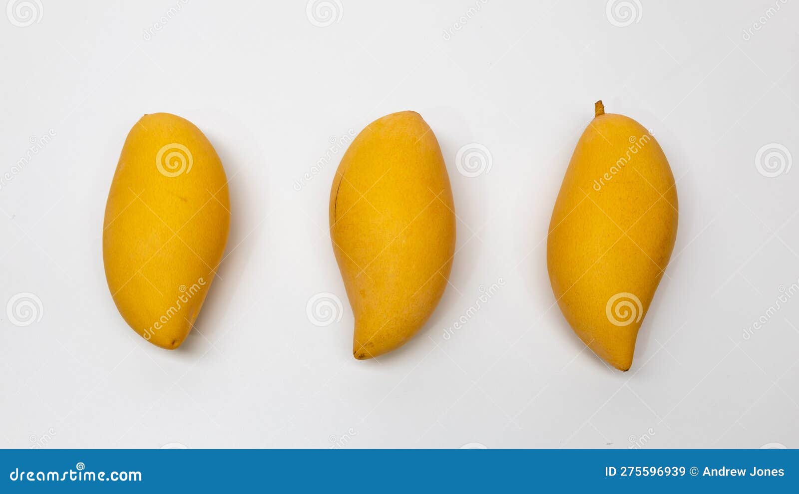 Three Thai Yellow Mangoes stock image. Image of studio - 275596939