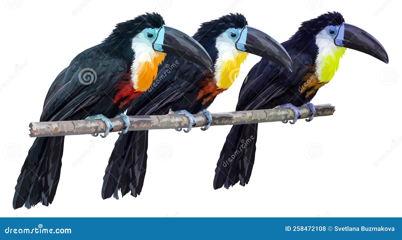 Long-branch Younger Futhark Runes Set Collection Vector Illustration ...