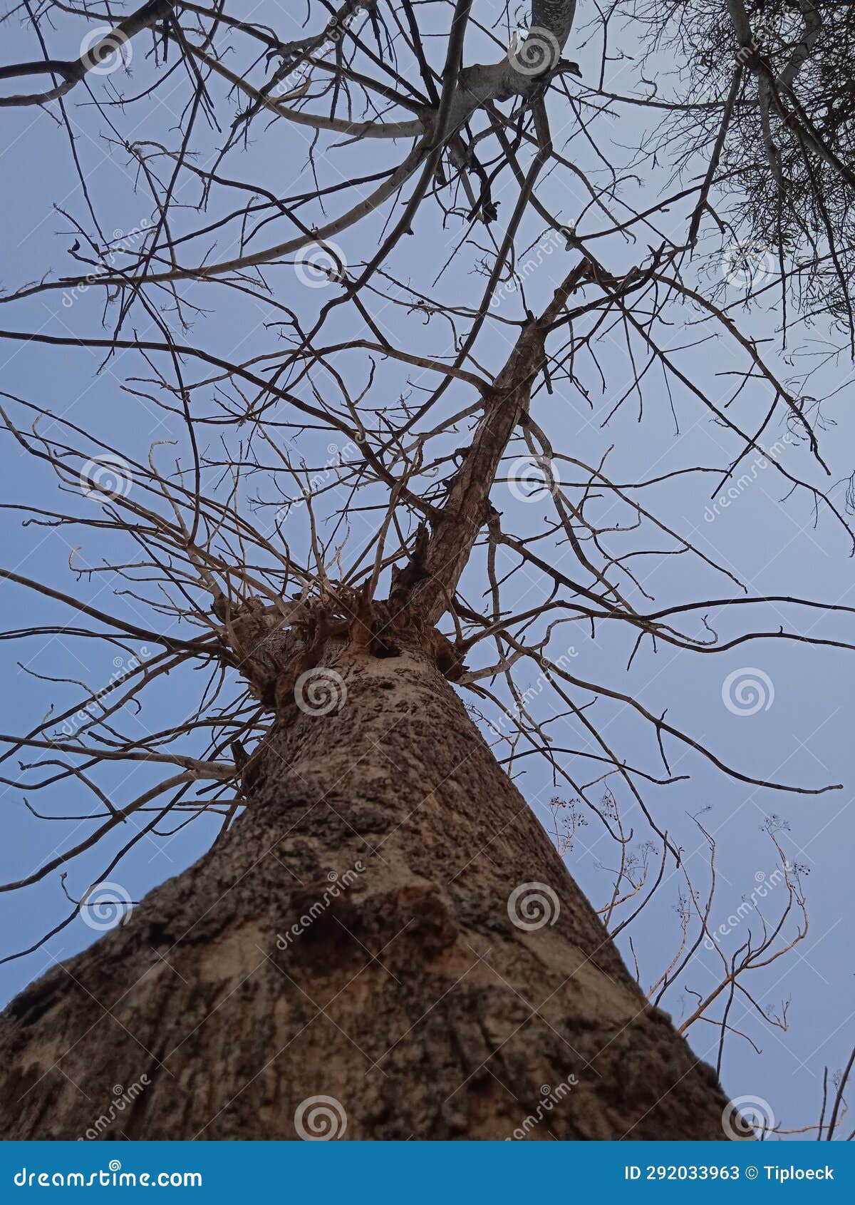 Drythree Stock Photos - Free & Royalty-Free Stock Photos from Dreamstime