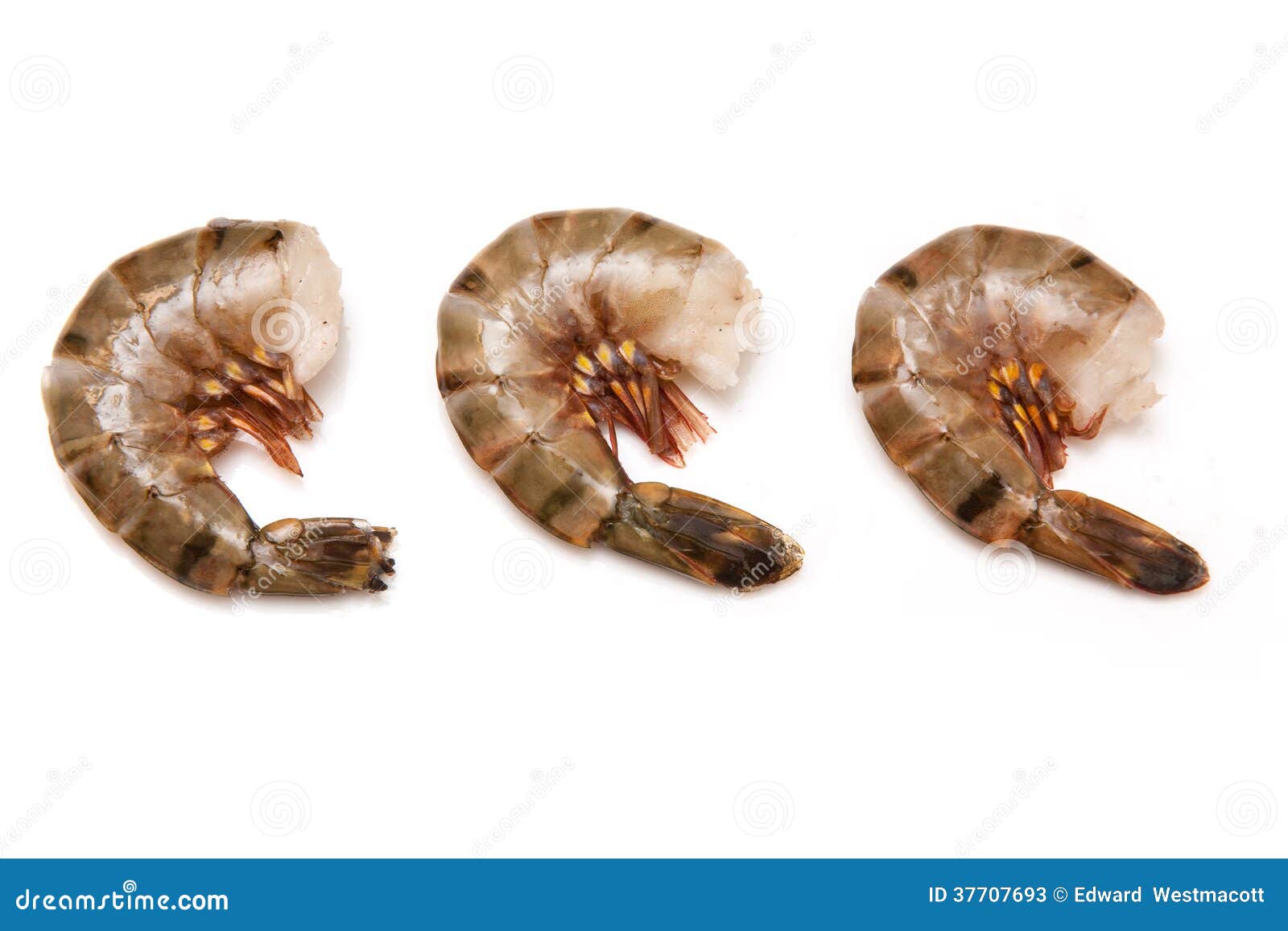Three tiger prawns stock image. Image of penaeus, white - 37707693