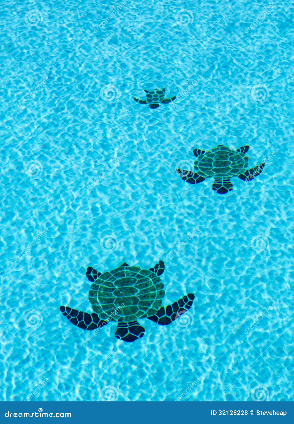 Three Tiled Turtles on Bottom of Swimming Pool Stock Photo - Image of ...